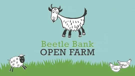 Beetle Bank Open Farm